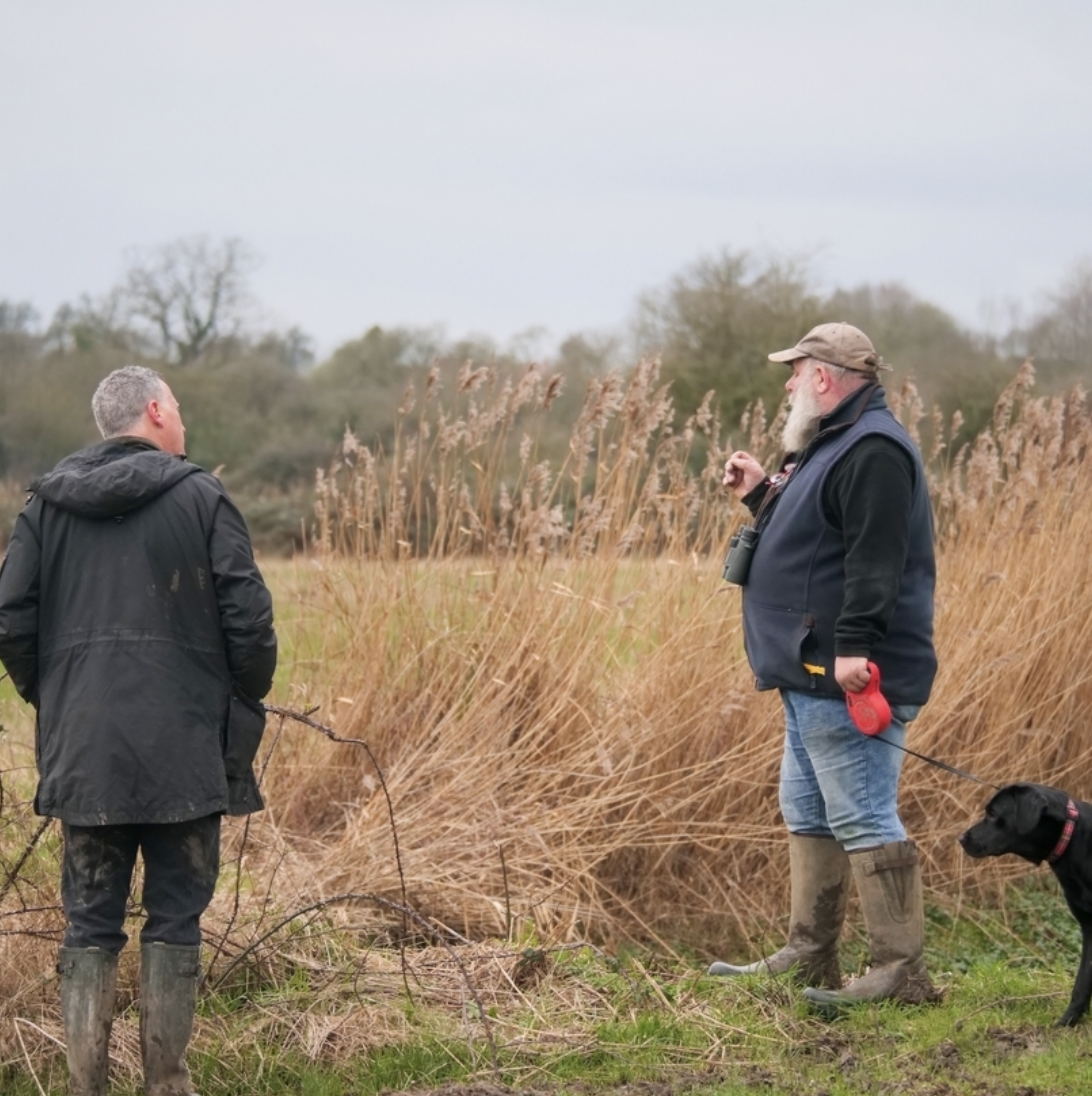 Discover Treehouses, Rewilding and Regenerative Farming at Elmore Court ...